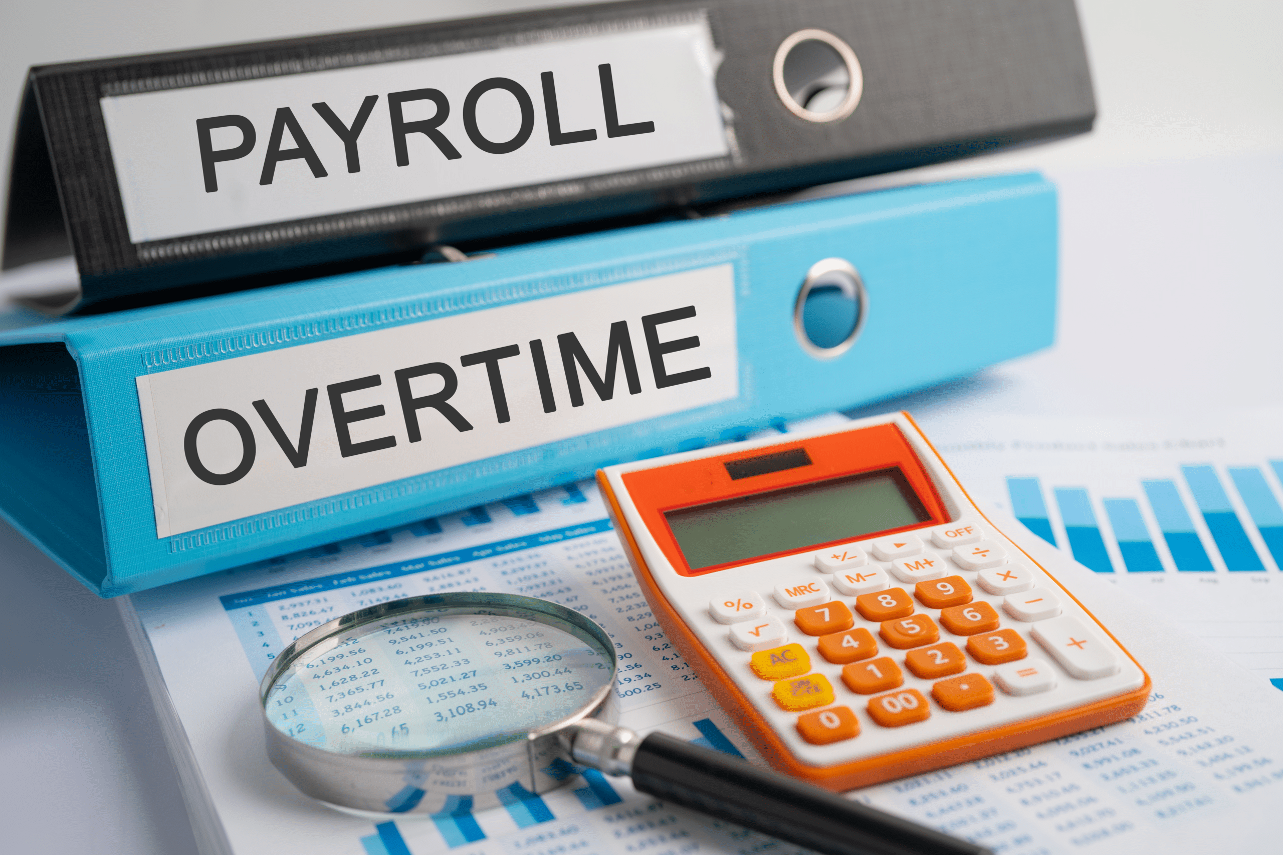 WCA Solutions - Payroll Audit Services
